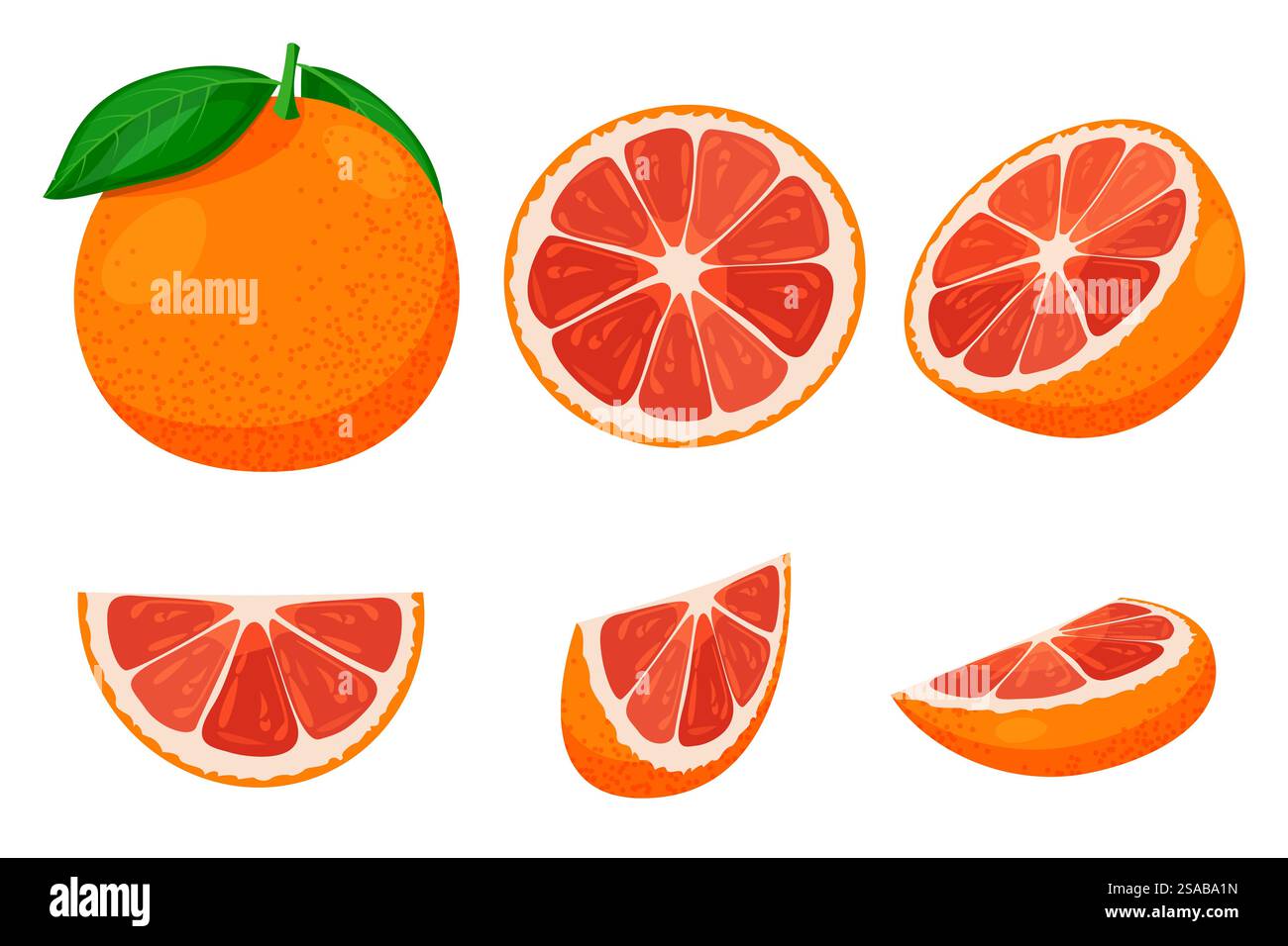 Ripe grapefruit whole and sliced set isolated on white background. Vector flat cartoon ...