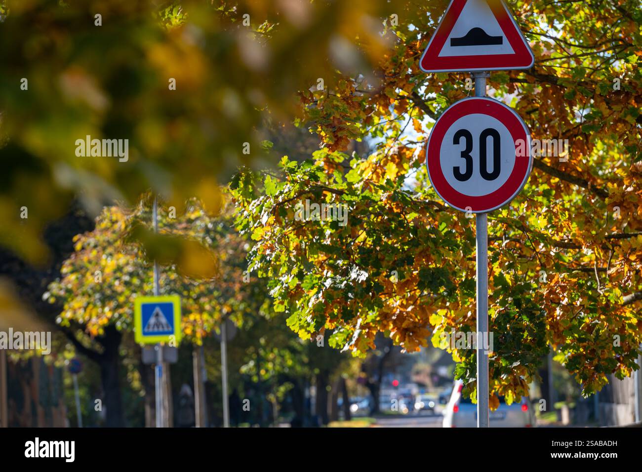 Road signs warning of bumps and speed limits near a tree-lined street ...