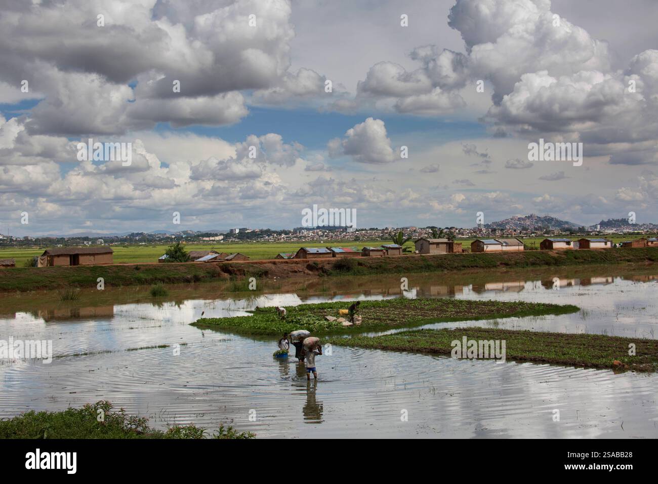 Madagascar rainy season Family members wade through the flood waters to ...
