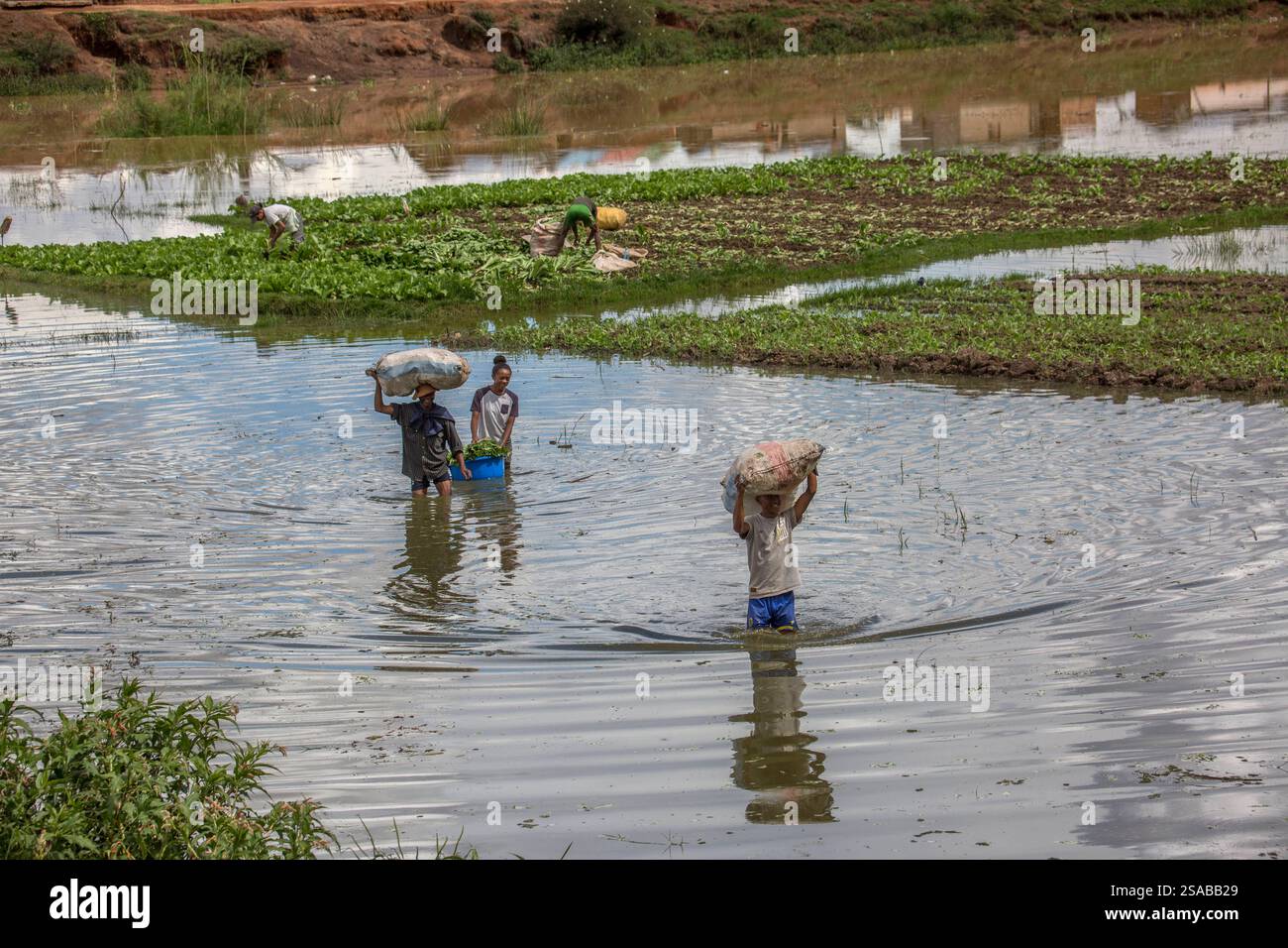 Madagascar rainy season Family members wade through the flood waters to ...