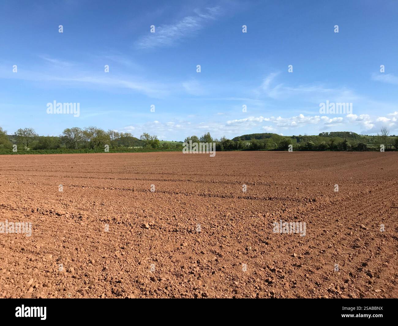 Early summer landscape with ploughed field and green hills, Compton ...