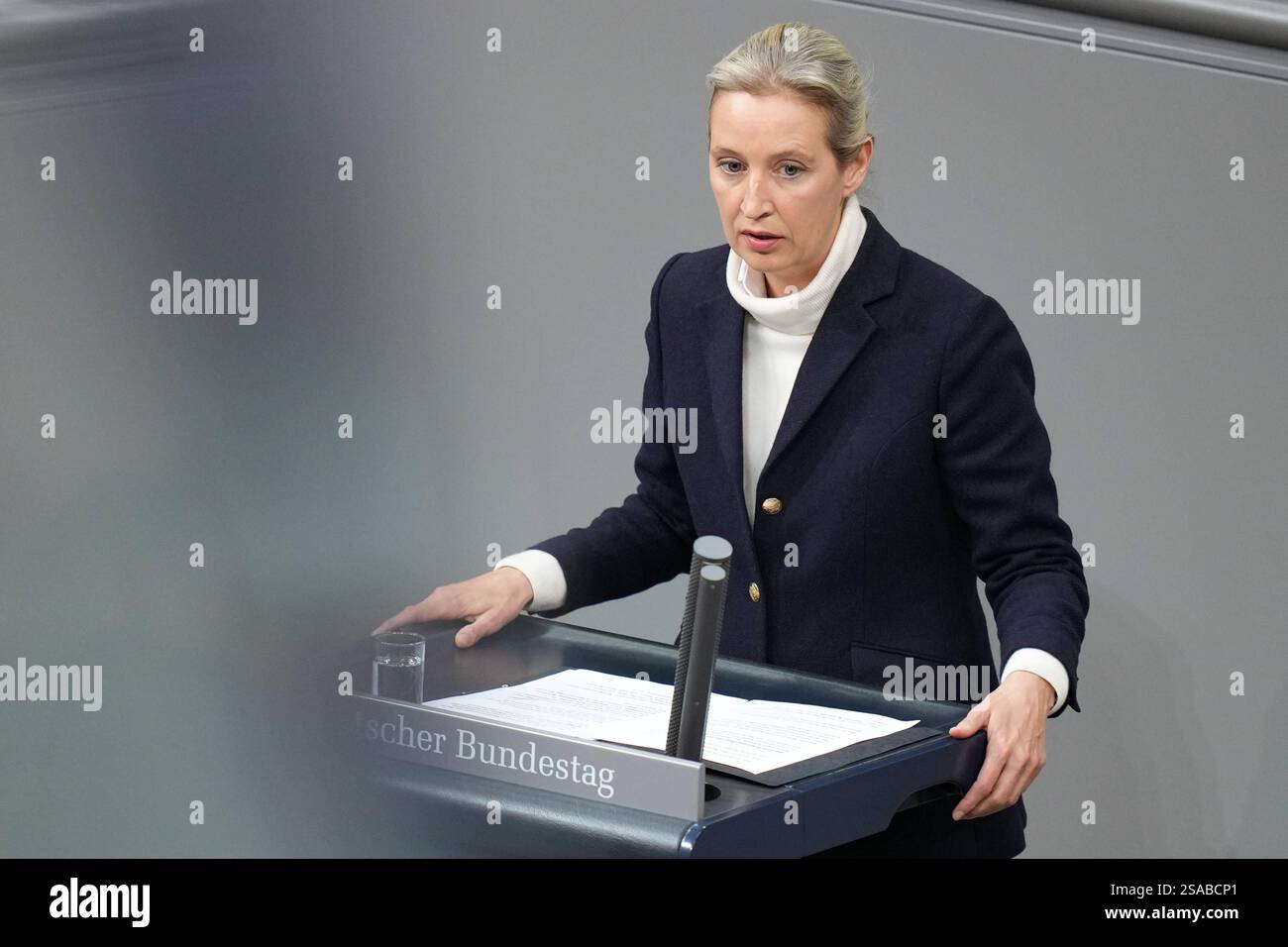 Deutscher Bundestag, 209. Plenarsitzung Regierungserklaerung Dr. Alice ...