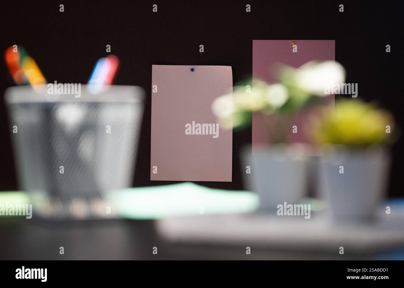 Berlin, Germany. 29th Jan, 2025. Blank slips of paper hang on a ...