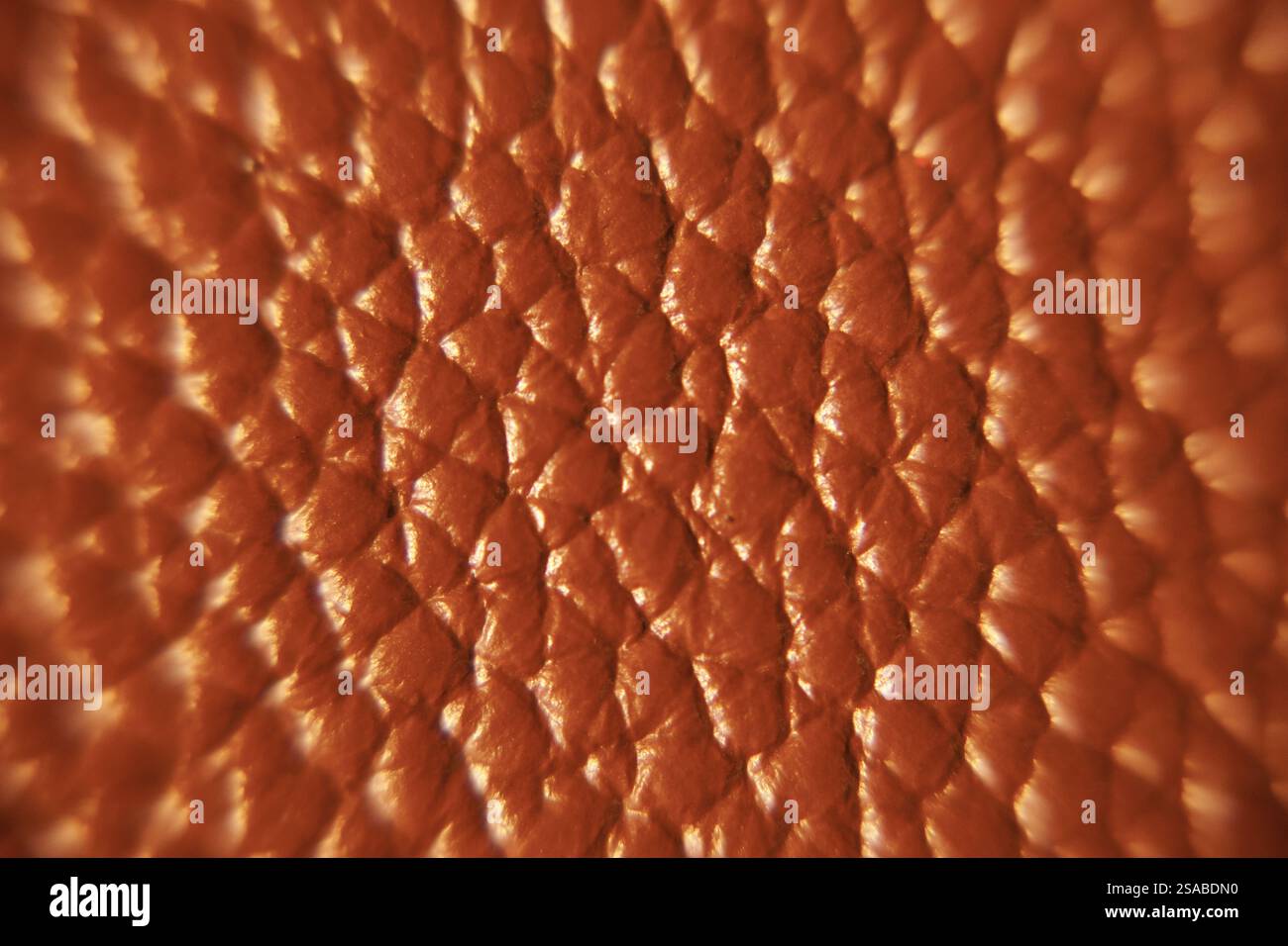 Textured leather surface shown in close-up detail with visible grain ...
