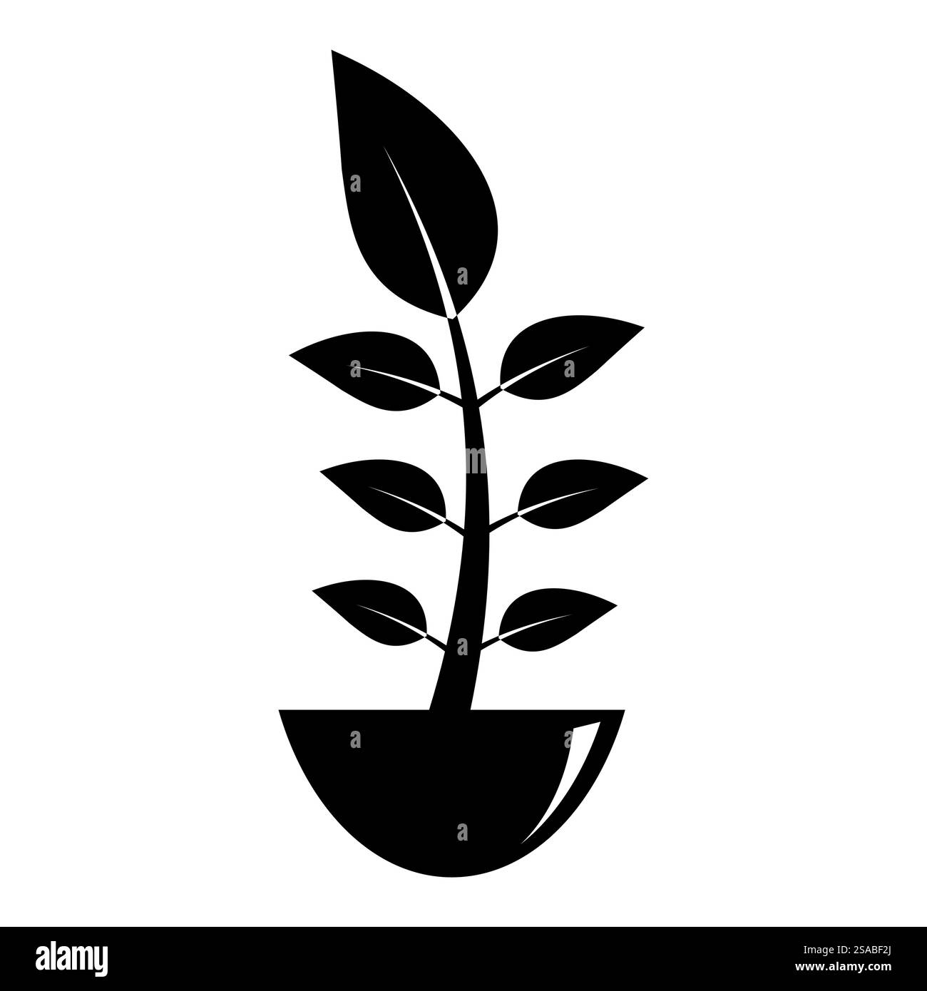 Icon aesthetics Black and White Stock Photos & Images - Alamy