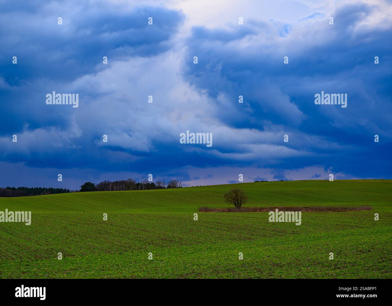 Heinersdorf, Germany. 29th Jan, 2025. Dark rain clouds are moving ...