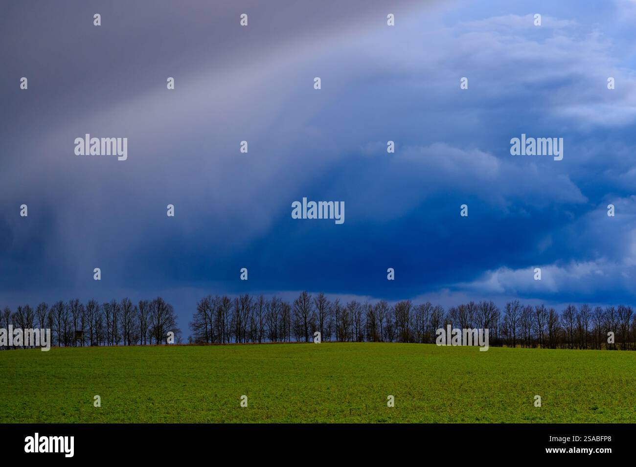 Heinersdorf, Germany. 29th Jan, 2025. Dark rain clouds are moving ...