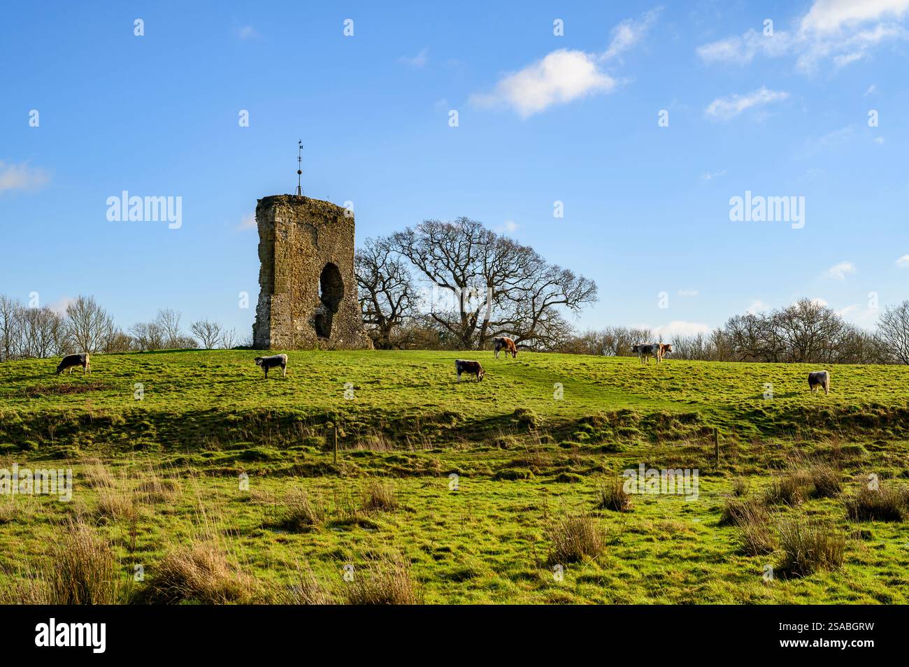 Knepp Castle Remains. The last standing wall of the medieval, defensive Knepp Castle built 1125 ...