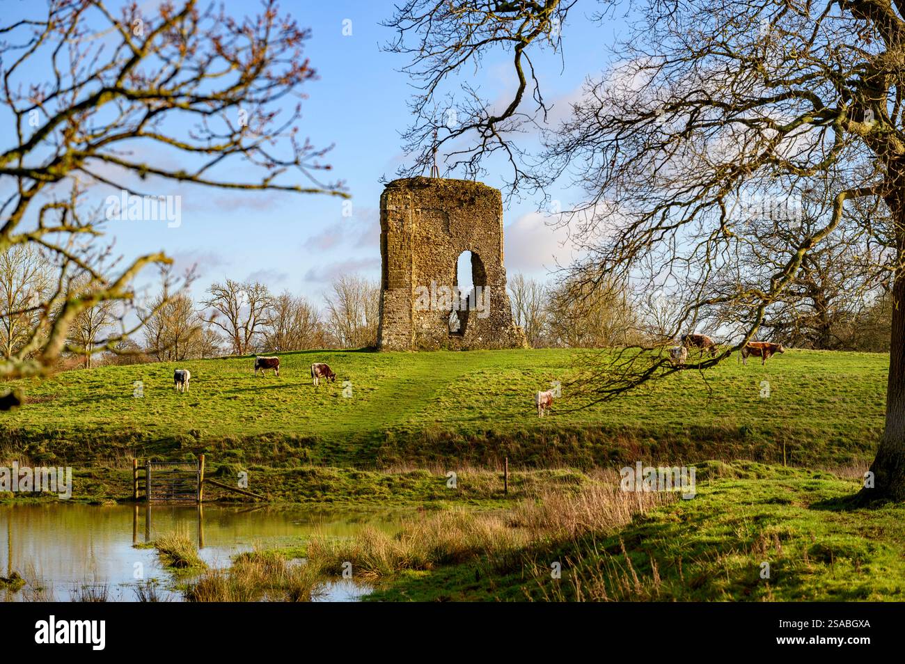 Knepp Castle Remains. The last standing wall of the medieval, defensive ...