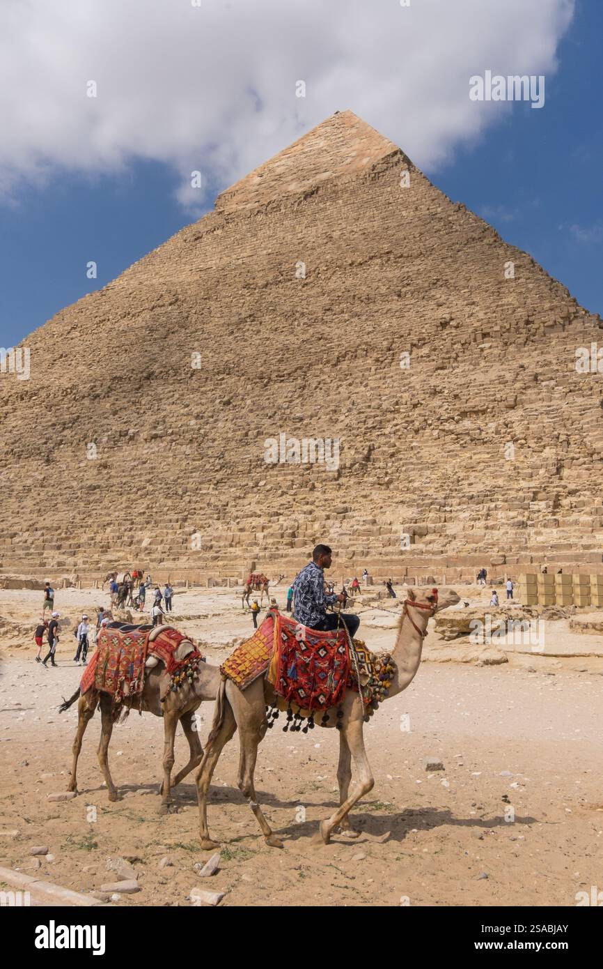 Camels and tourists near the Pyramid of Khafre, Egypt Stock Photo - Alamy