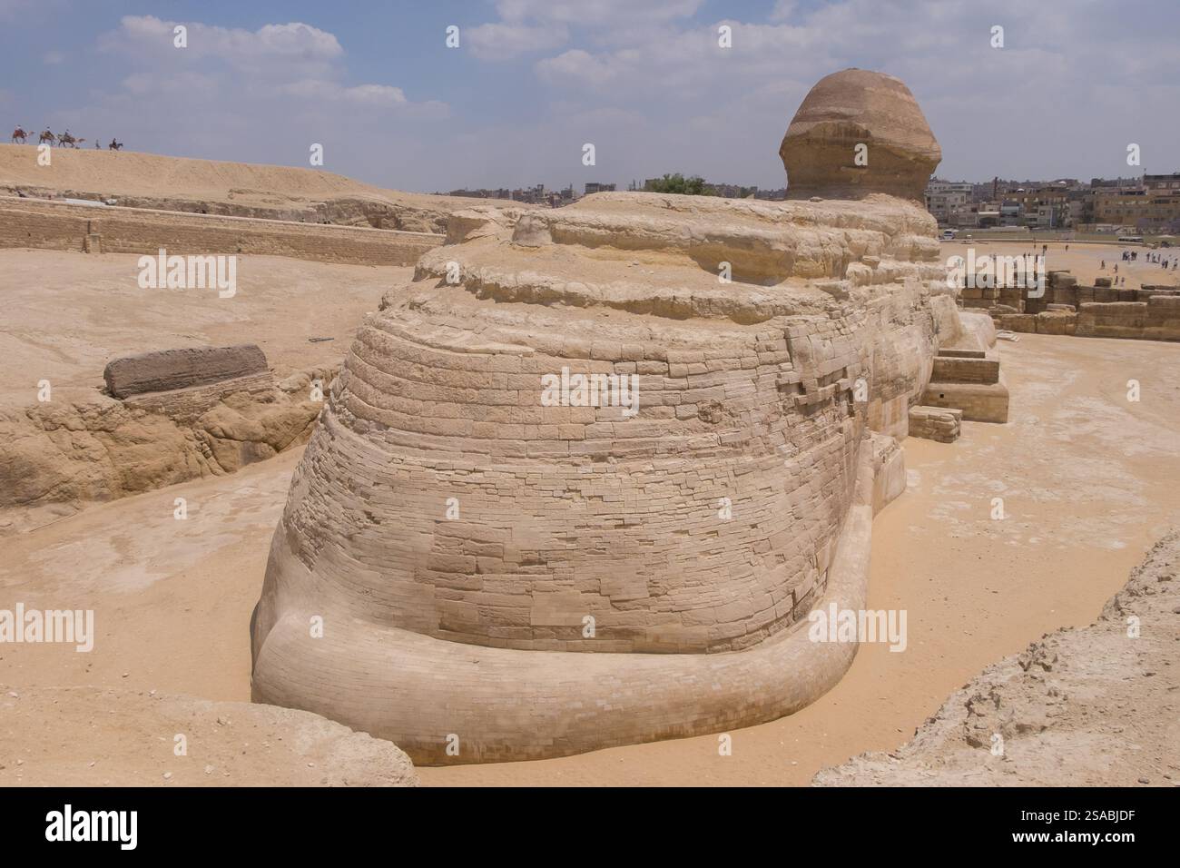 Rear view of the Sphinx in the Giza Valley, Egypt Stock Photo - Alamy