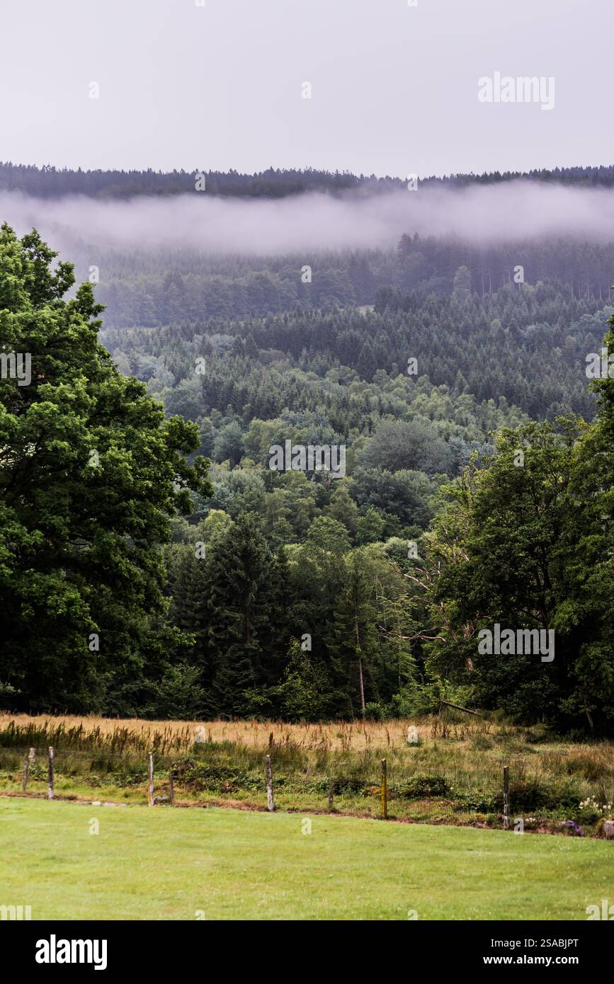 Natural panoramic view with morning fog, trees and meadows at the ...