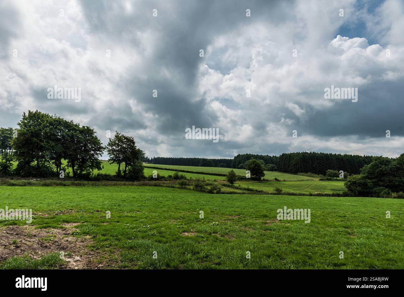 Green landscape with agricutlure fields and houses at the Belgian ...