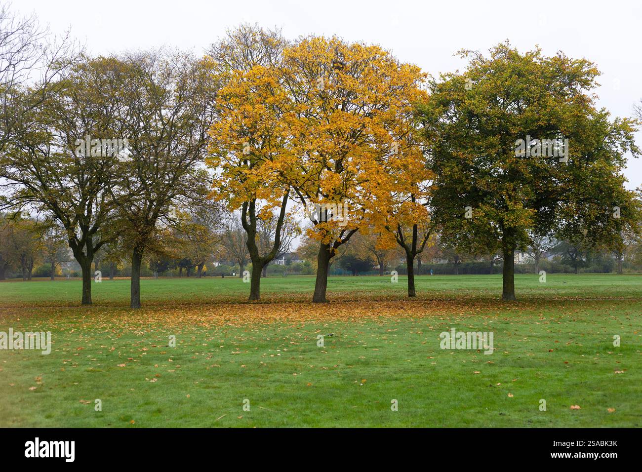 Ilford, east London Stock Photo - Alamy