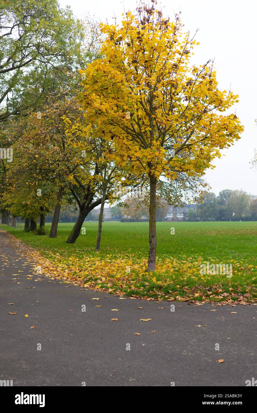 Ilford, east London Stock Photo - Alamy