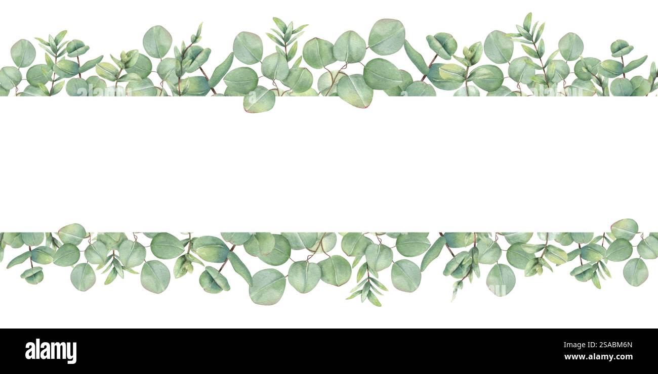 Watercolor evergreen tropical eucalyptus branches border isolated ...