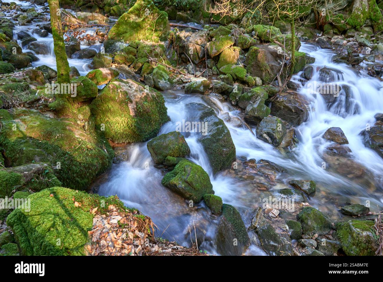 Majestic Allerheiligen Waterfalls: Powerful Cascades Over Mossy Rocks ...