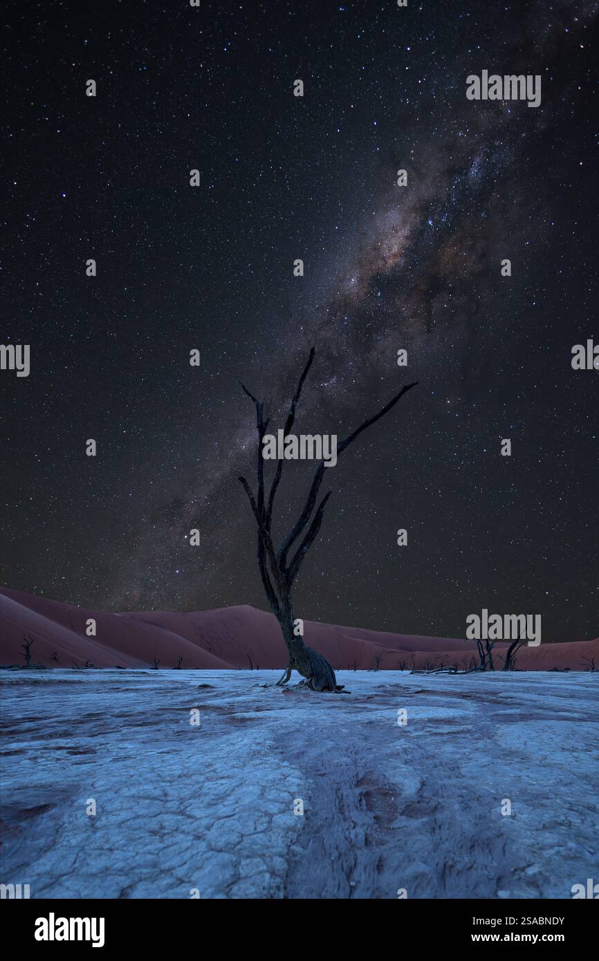 Milky Way over the Deadvlei valley pan with pertrified trees in the ...