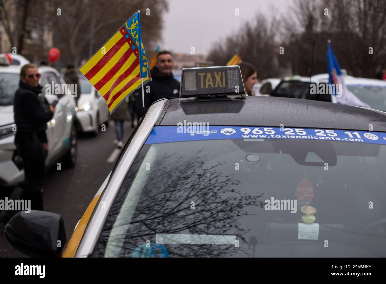 Madrid, Spain. 29th Jan, 2025. A flag of the autonomous community of ...