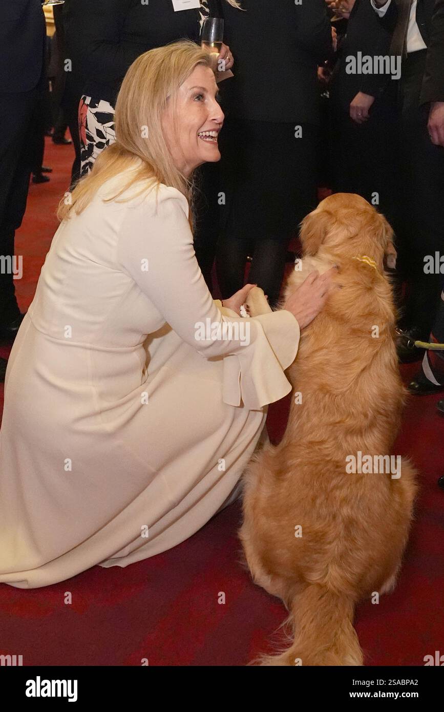 The Duchess of Edinburgh with Lib Dem MP Steve Darling's guide dog ...