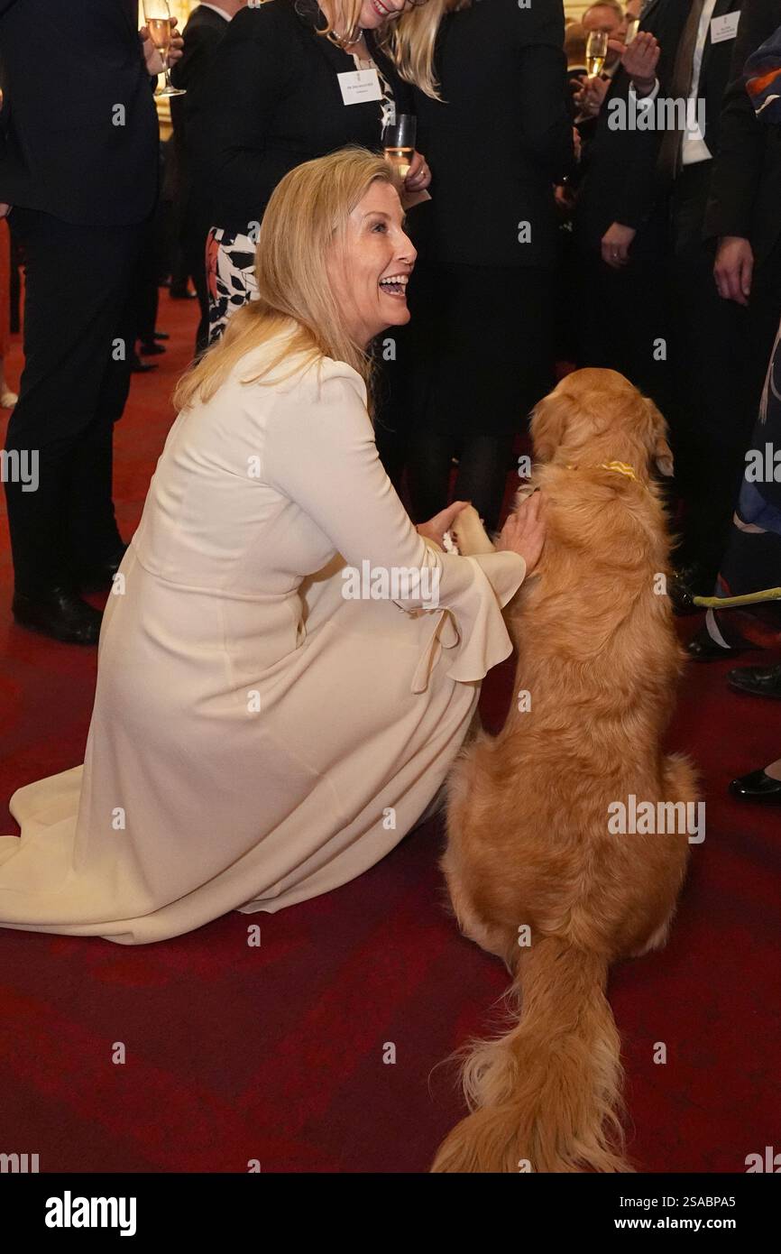 The Duchess of Edinburgh with Lib Dem MP Steve Darling's guide dog ...