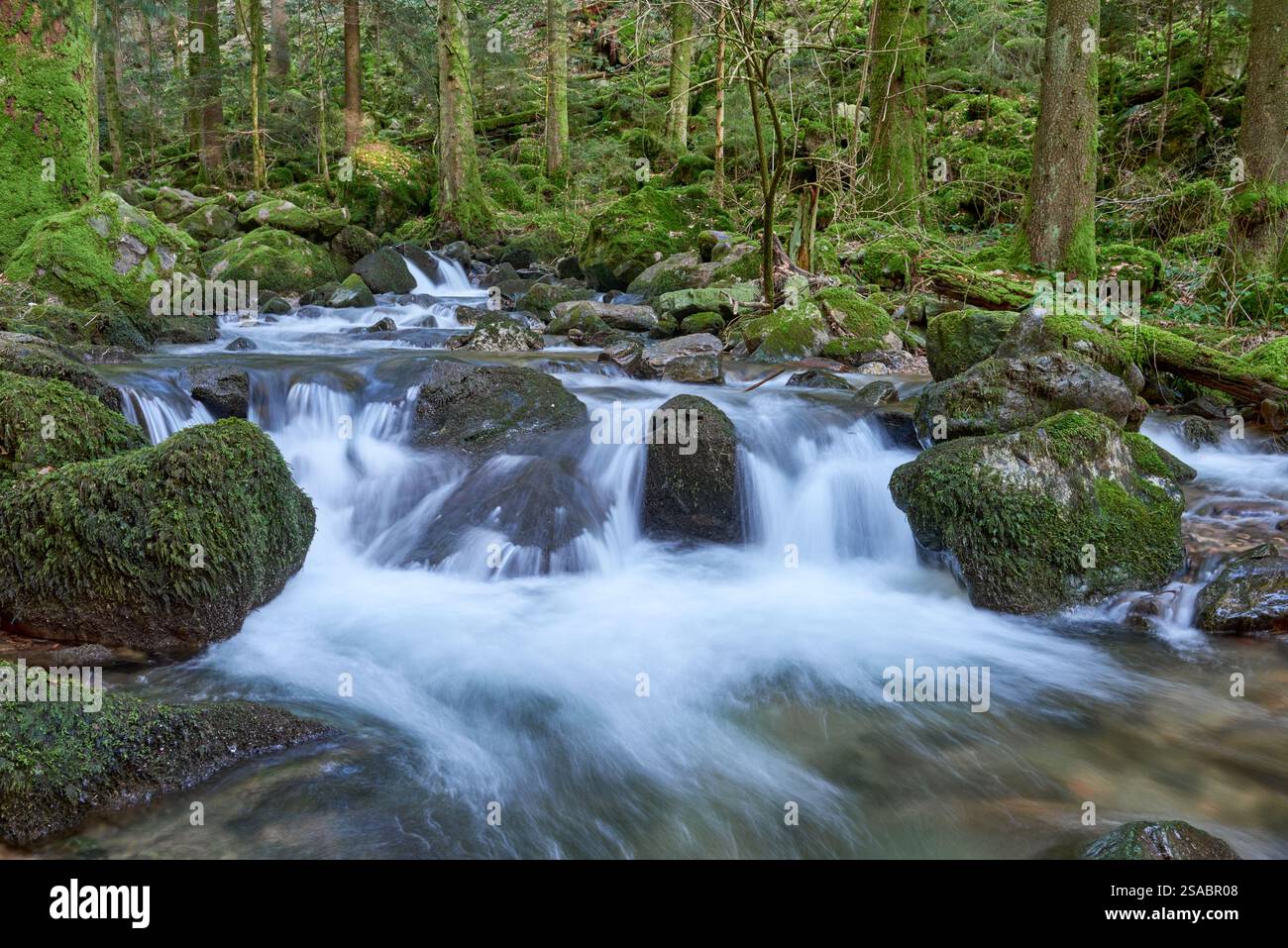 Majestic Allerheiligen Waterfalls: Powerful Cascades Over Mossy Rocks ...