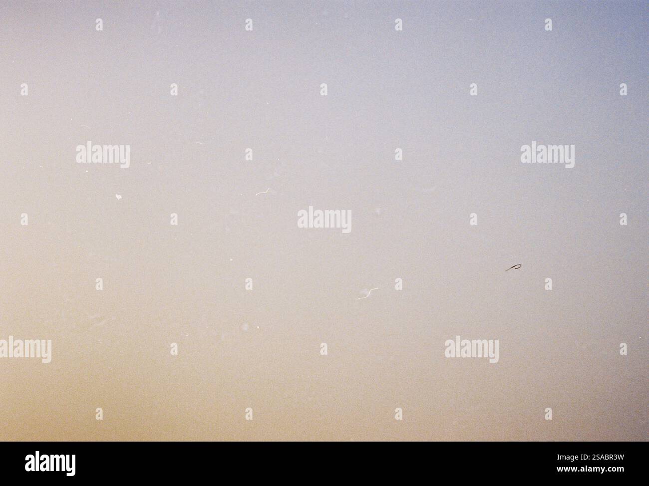 Authentic 200 ISO 35mm film grain texture with natural imperfections ...