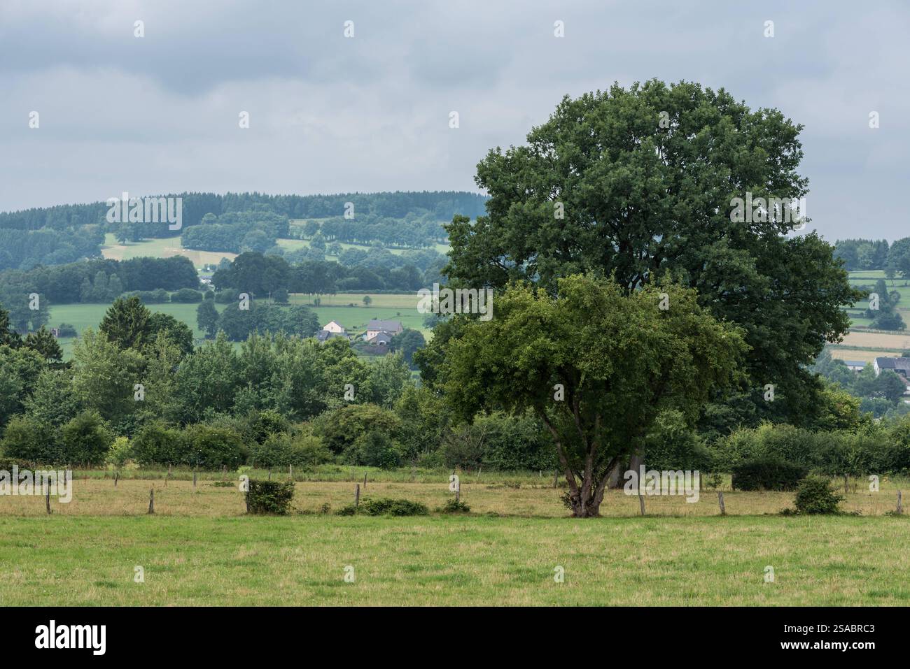 Green landscape with agricutlure fields and houses at the Belgian ...