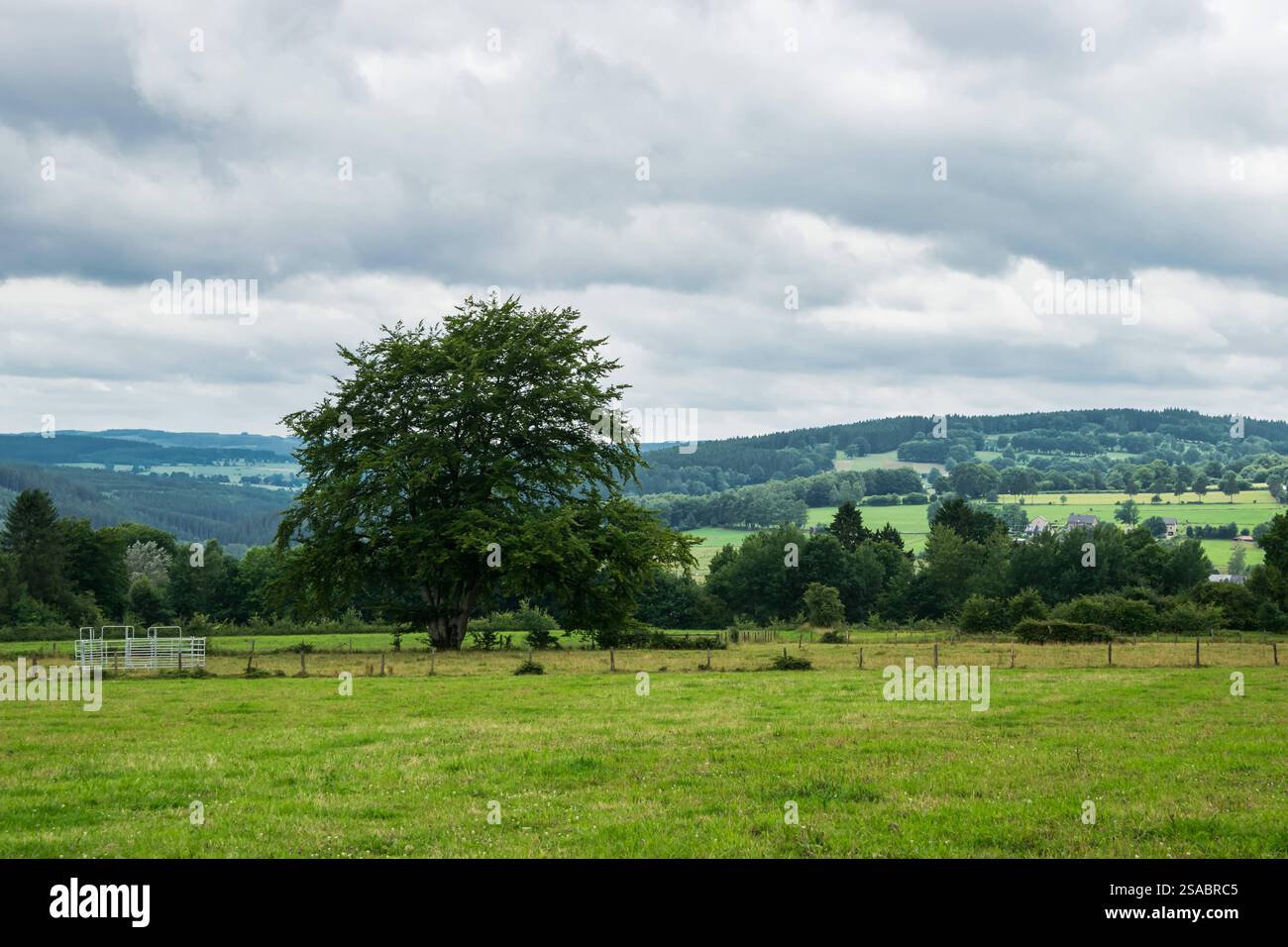 Green landscape with agricutlure fields and houses at the Belgian ...