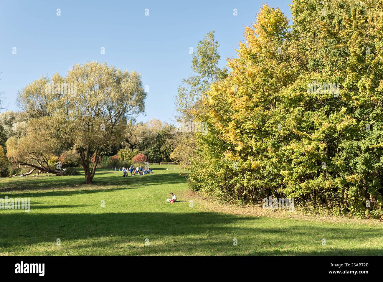 Children and scouts playing in the grass of the Scheutbospark in High ...