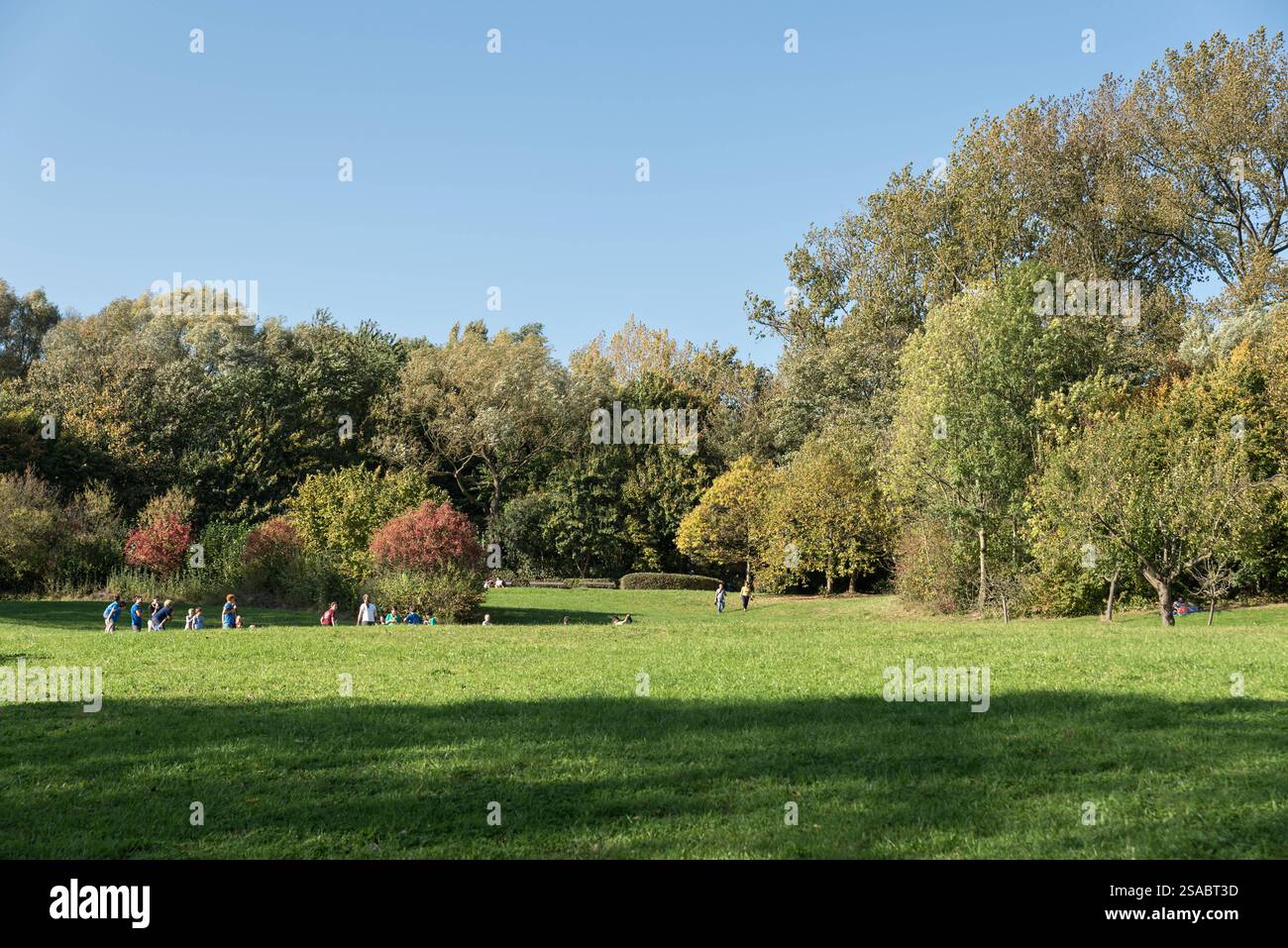Children and scouts playing in the grass of the Scheutbospark in High ...