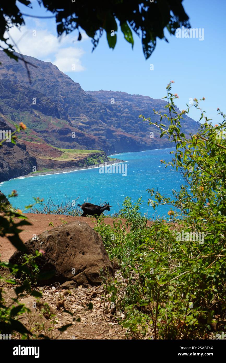 Breathtaking view of Na Pali Coast, Kauai, Hawaii – rugged cliffs ...