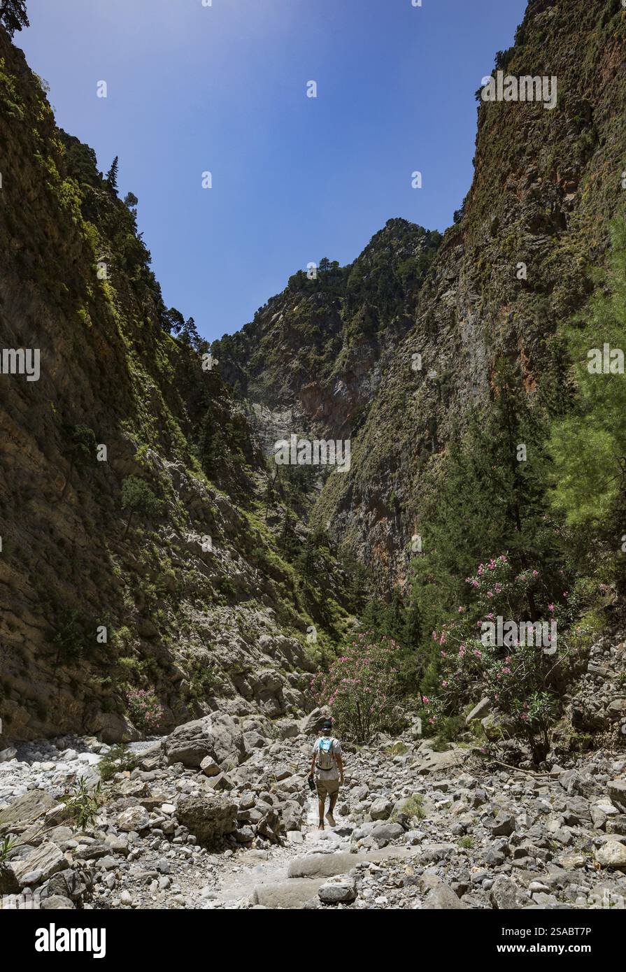 Hiking trail through the Samaria Gorge, south coast, Crete, Greece ...