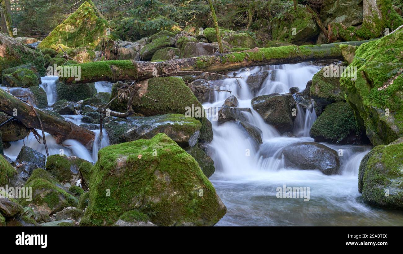 Majestic Allerheiligen Waterfalls: Powerful Cascades Over Mossy Rocks ...
