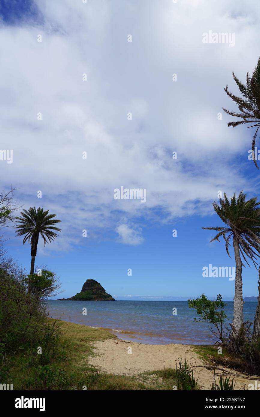 Tropical beach with palm trees and Chinaman’s Hat Island, Oahu, Hawaii ...