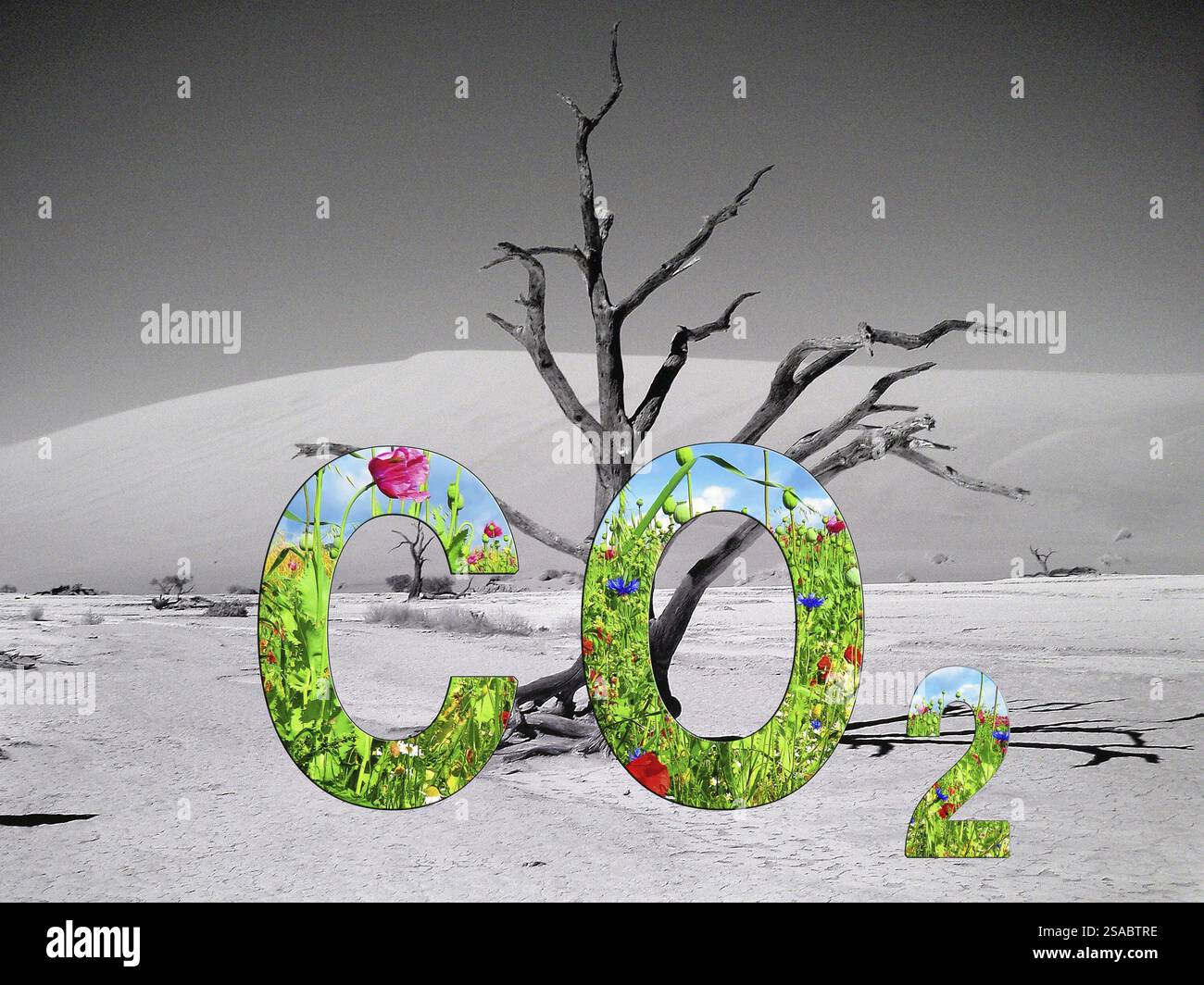 Symbolic image, carbon dioxide CO2, climate protection, climate change ...
