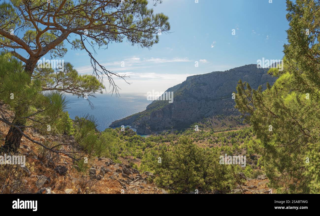 View through pine trees to the Ahata coast and sea on a sunny day, hike from Aperi to Limniatis ...