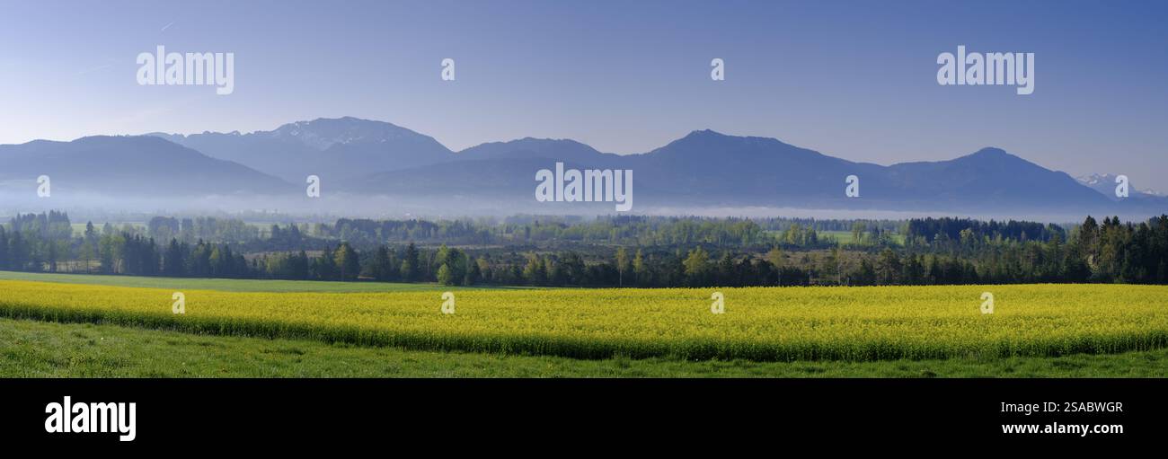 Benediktenwand, Alpine chain near Johannesrain, Penzberg, Upper Bavaria ...