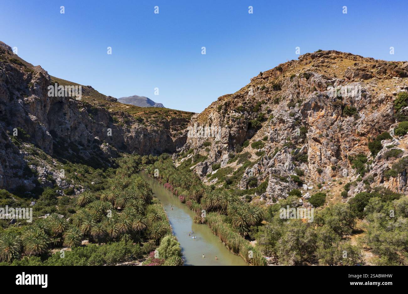Drone shot forested rocky coast hi-res stock photography and images - Alamy