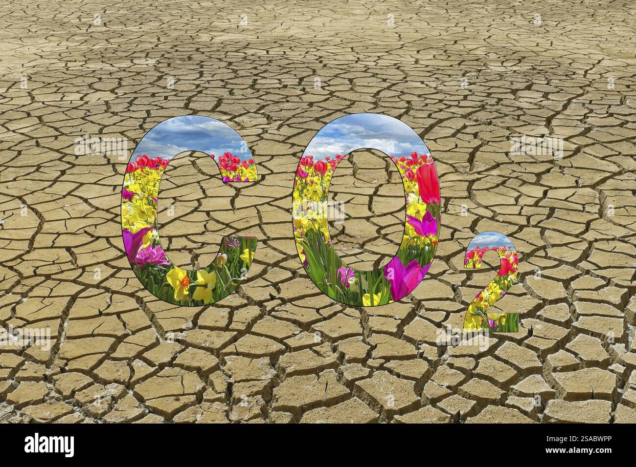 Symbolic image, carbon dioxide CO2, climate protection, climate change ...