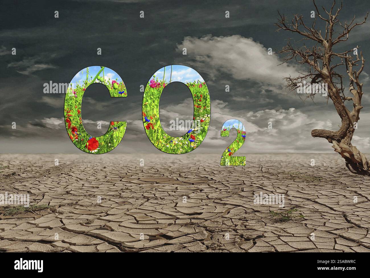 Symbolic image, carbon dioxide CO2, climate protection, climate change ...