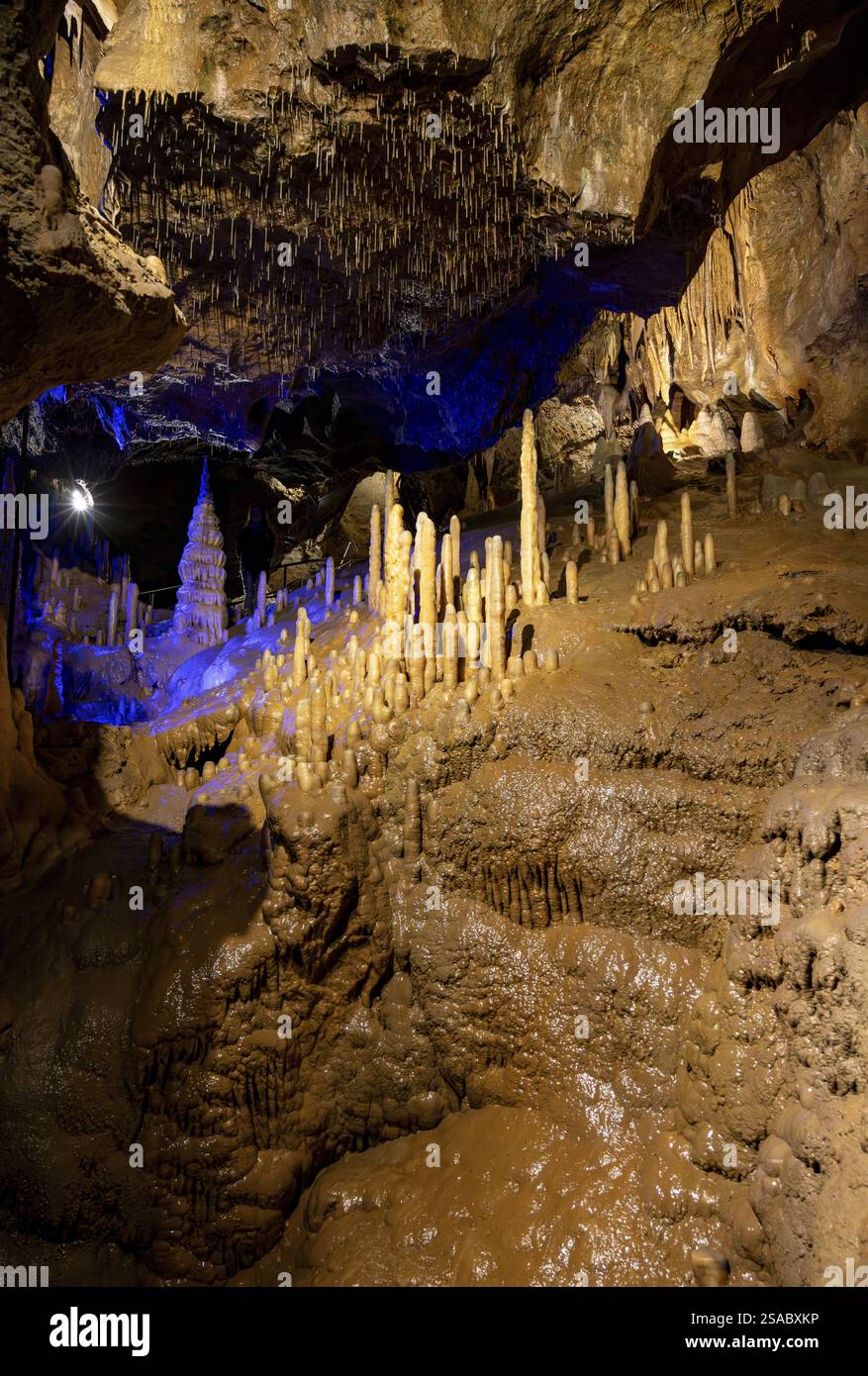 Stalagmites and stalactites in a cave, Devil's Cave Pottenstein ...