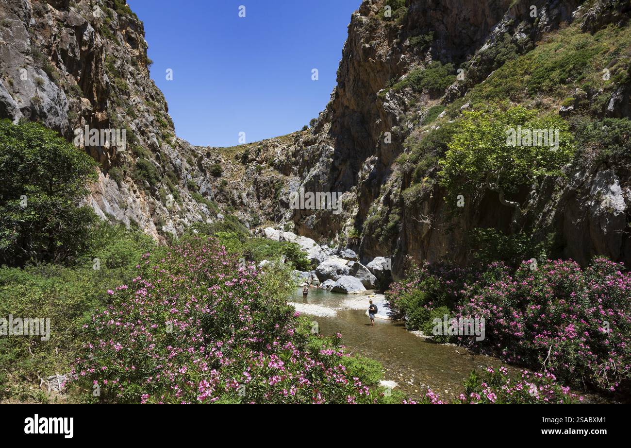 River flows through the Kourtaliatiko Gorge, Preveli Beach, south coast ...