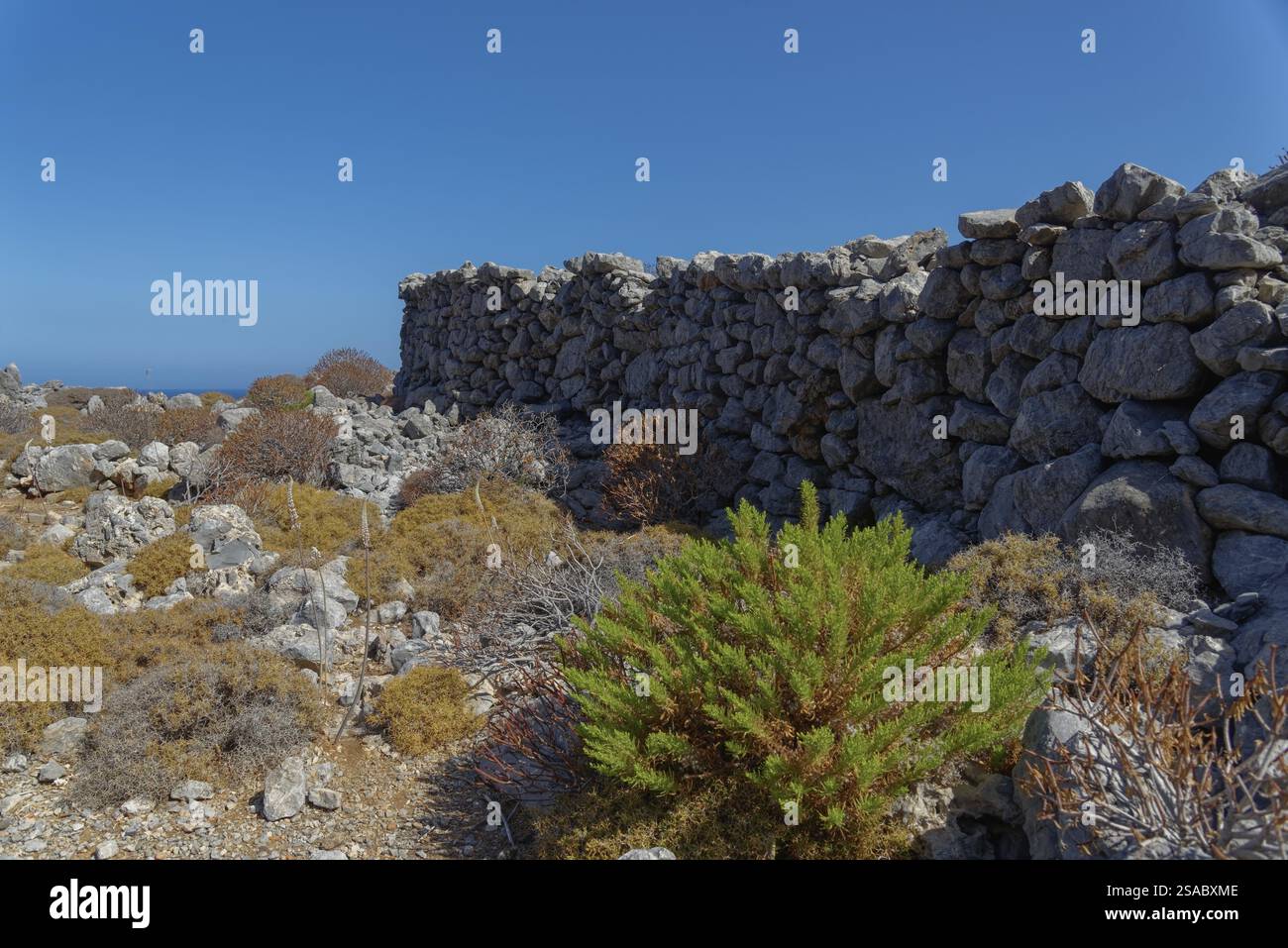 Old stone wall of the ancient Dorian city of Vrougounda with sparse ...