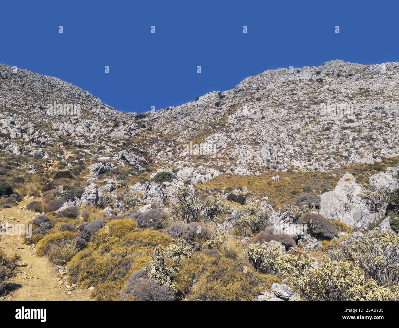Stony ridge with scattered bushes on the way to the summit of Kali ...