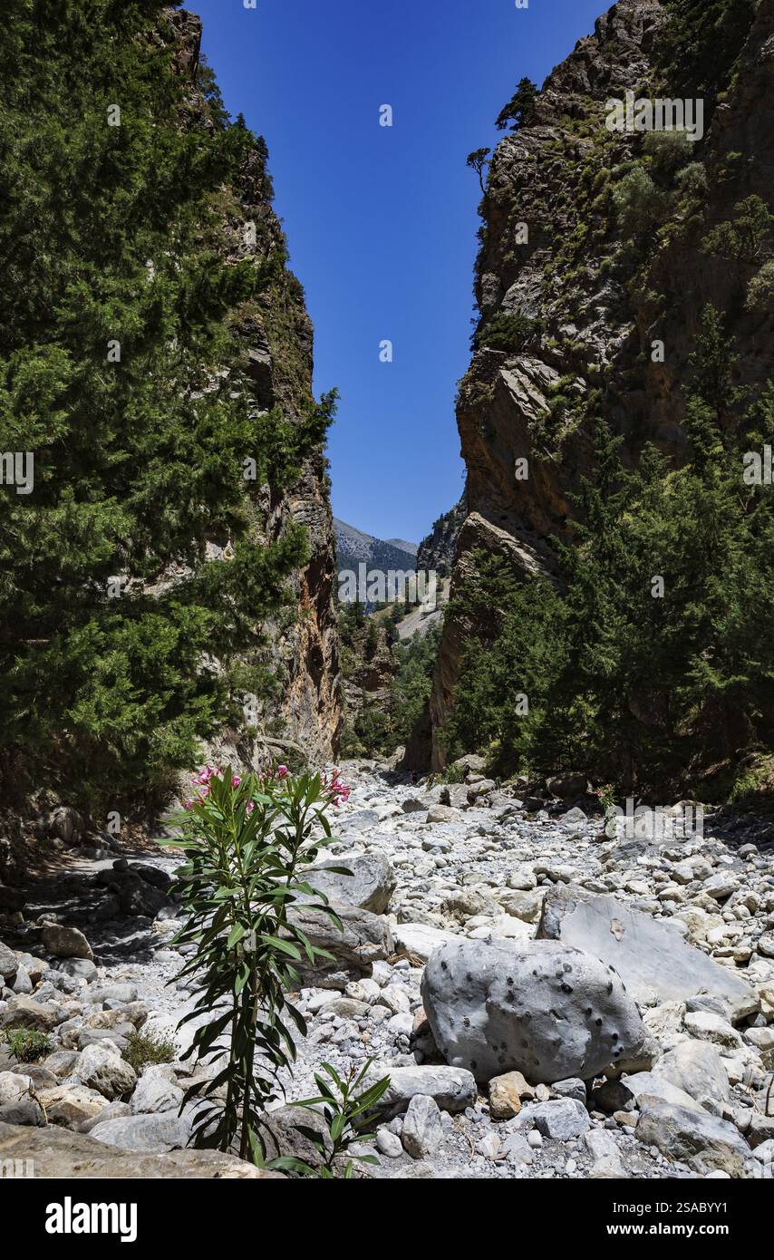 Hiking trail through the Samaria Gorge, south coast, Crete, Greece ...