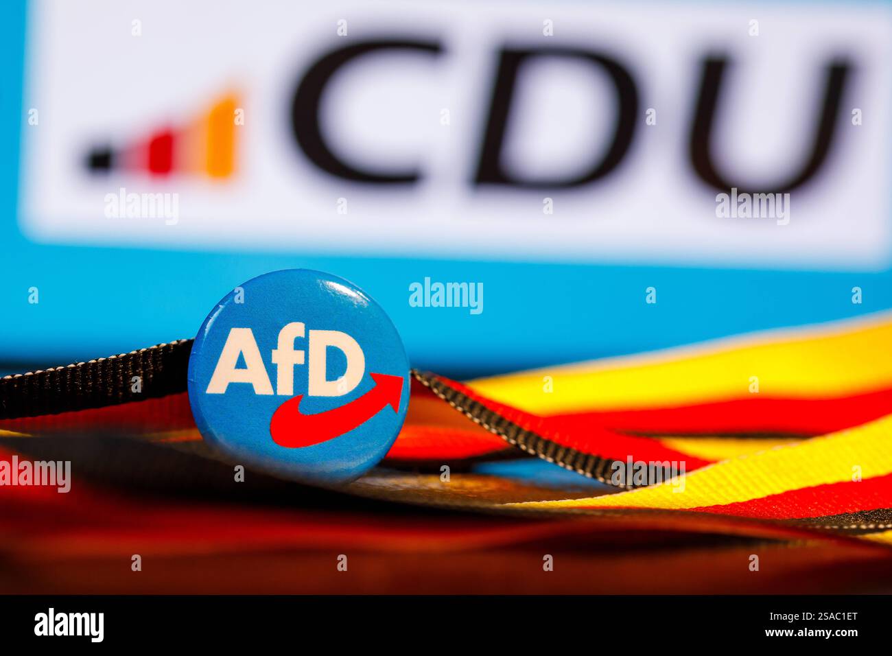 Symbolfoto AFD DEU/Deutschland/Illustration, 29.01.2025, Symbolfoto AFD ...