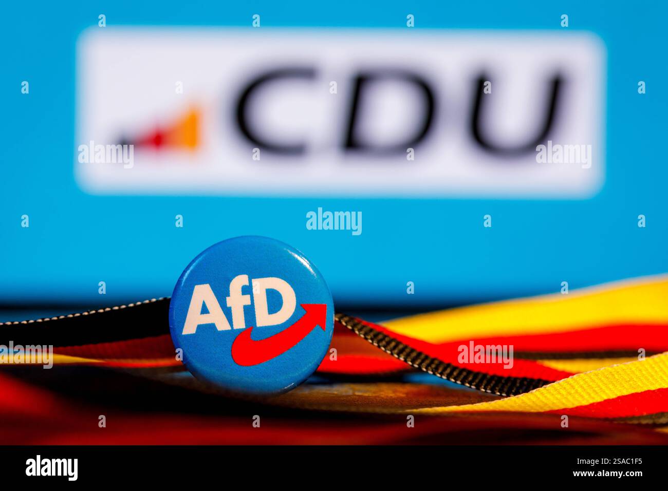 Symbolfoto AFD DEU/Deutschland/Illustration, 29.01.2025, Symbolfoto AFD ...