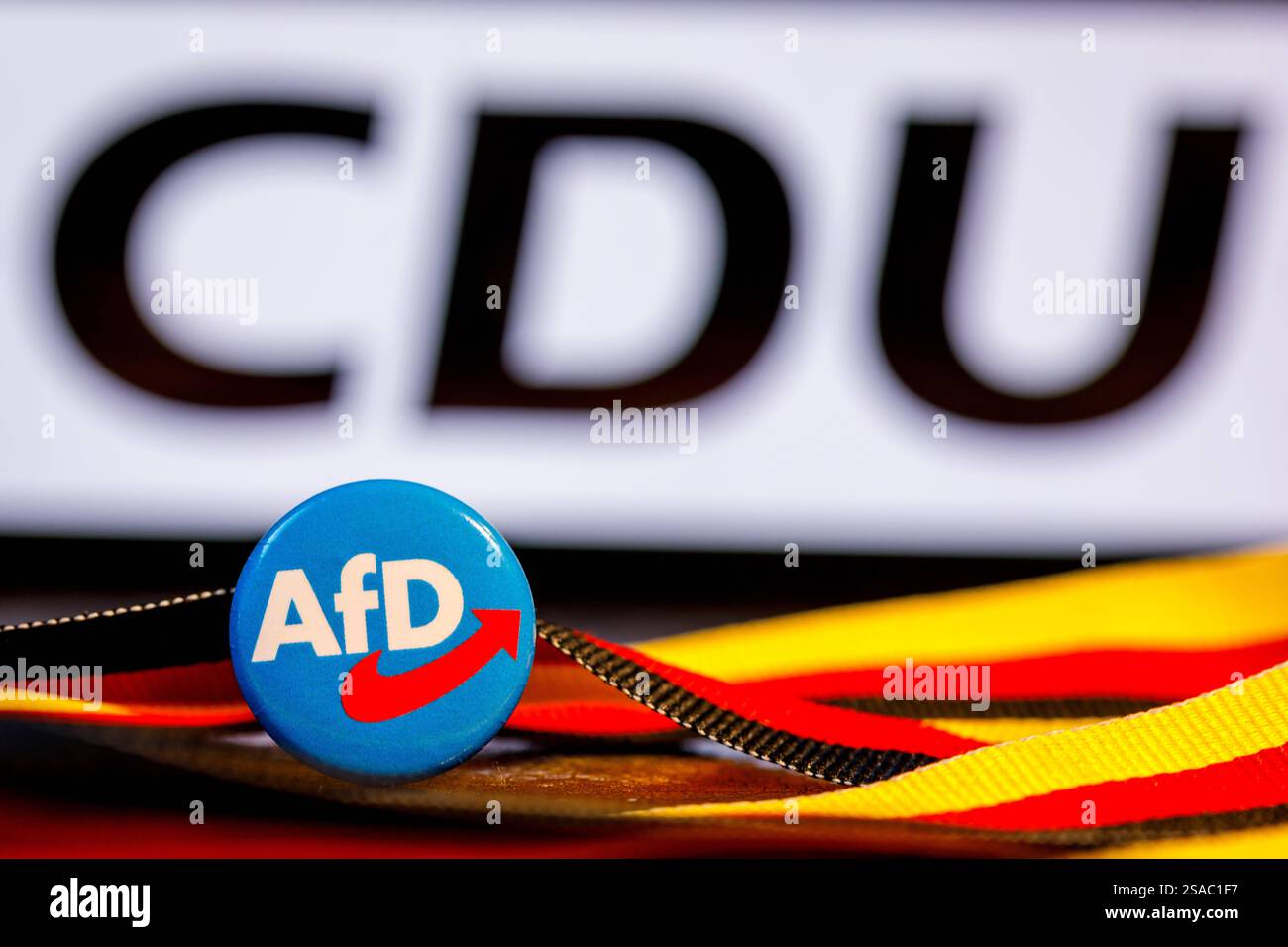 Symbolfoto AFD DEU/Deutschland/Illustration, 29.01.2025, Symbolfoto AFD ...