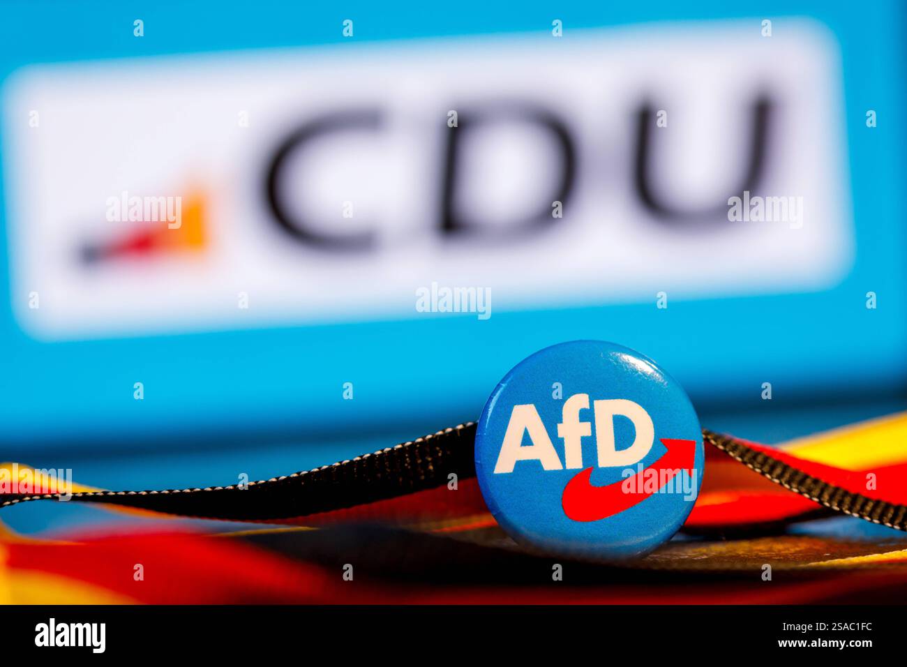 Symbolfoto AFD DEU/Deutschland/Illustration, 29.01.2025, Symbolfoto AFD ...